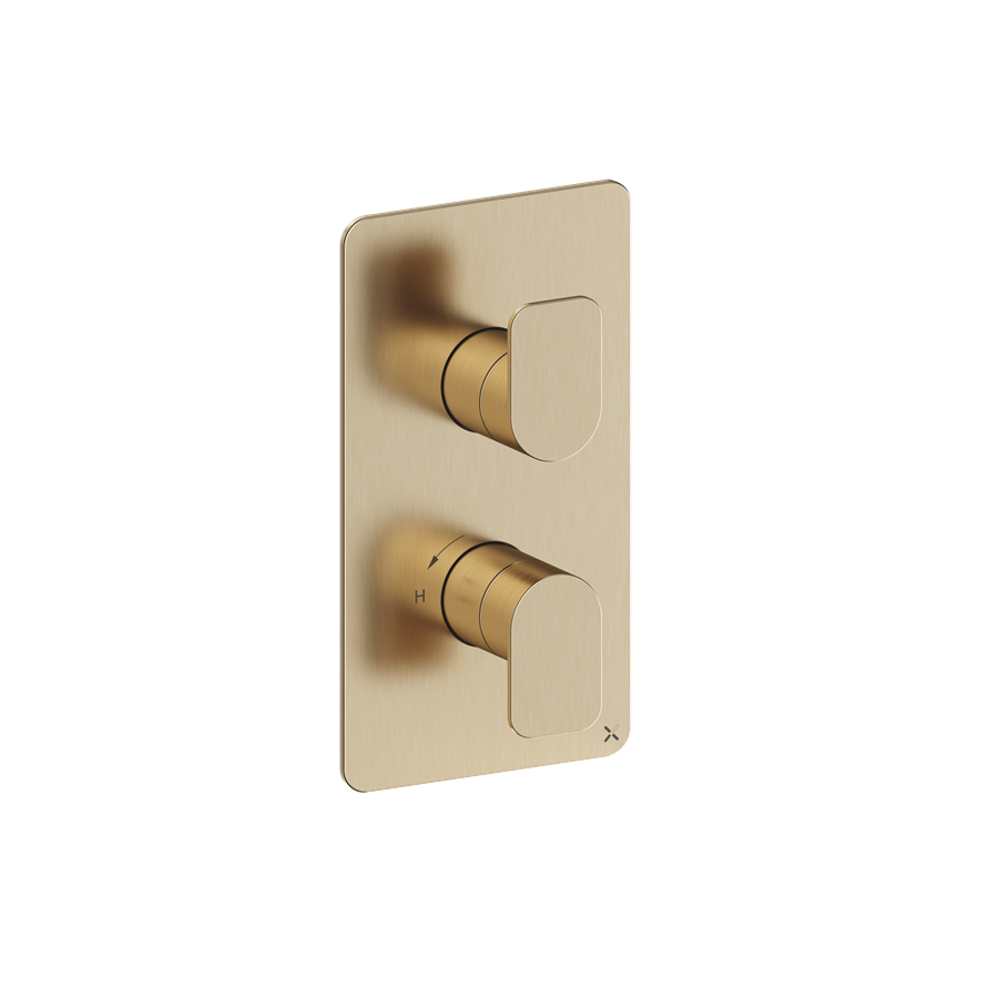 Fuse 2 Outlet 2 Handle Shower Valve (Finish: Brushed Brass) | SKU ...